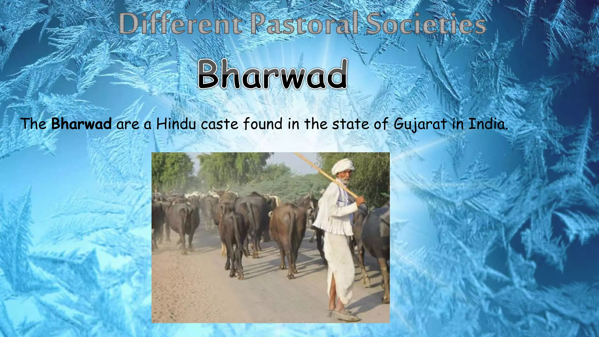 Different Pastoral Communities- PPT | PPTX