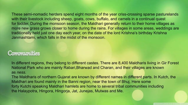 Different Pastoral Communities- PPT | PPTX