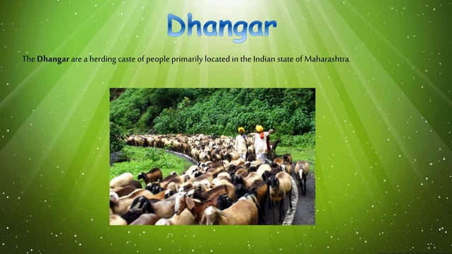 Different Pastoral Communities- PPT | PPTX