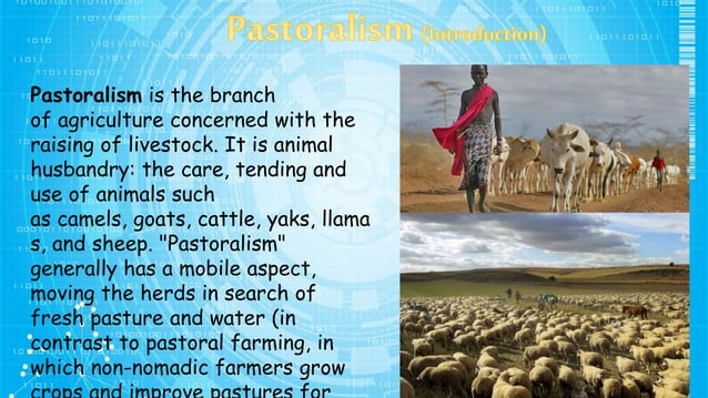 Different Pastoral Communities- PPT | PPTX