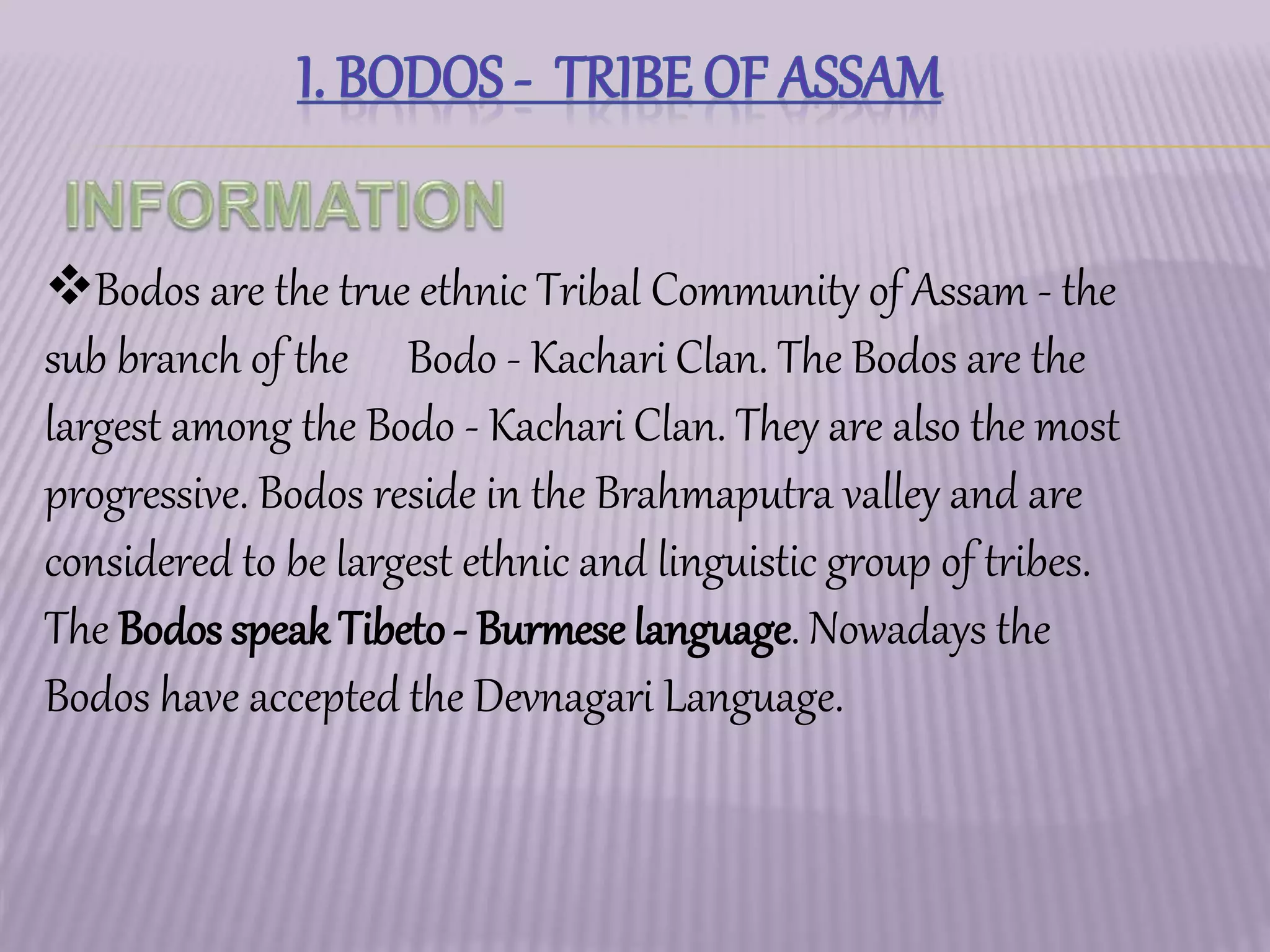 sst - ppt on major types of tribal groups | PPTX