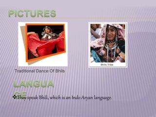 sst - ppt on major types of tribal groups | PPTX