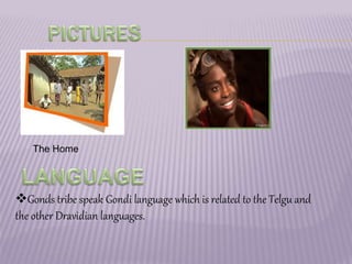 sst - ppt on major types of tribal groups | PPTX