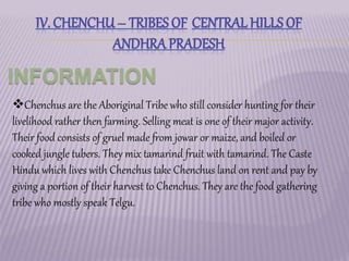 sst - ppt on major types of tribal groups | PPTX