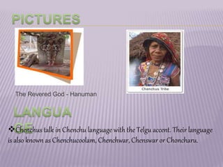 sst - ppt on major types of tribal groups | PPTX