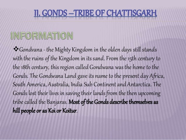 sst - ppt on major types of tribal groups
