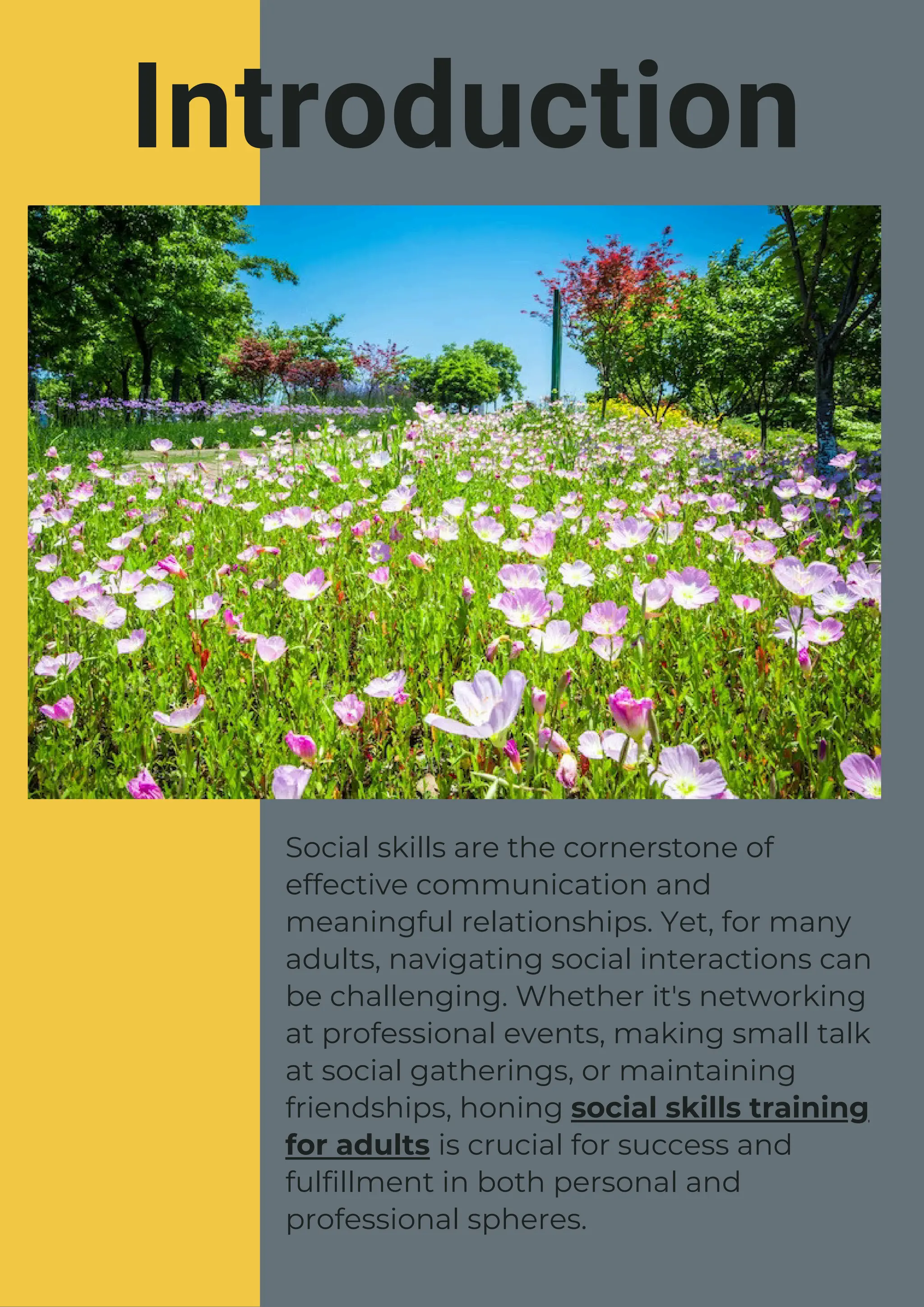 Exploring the World of Social Skills Training for Adults | PDF