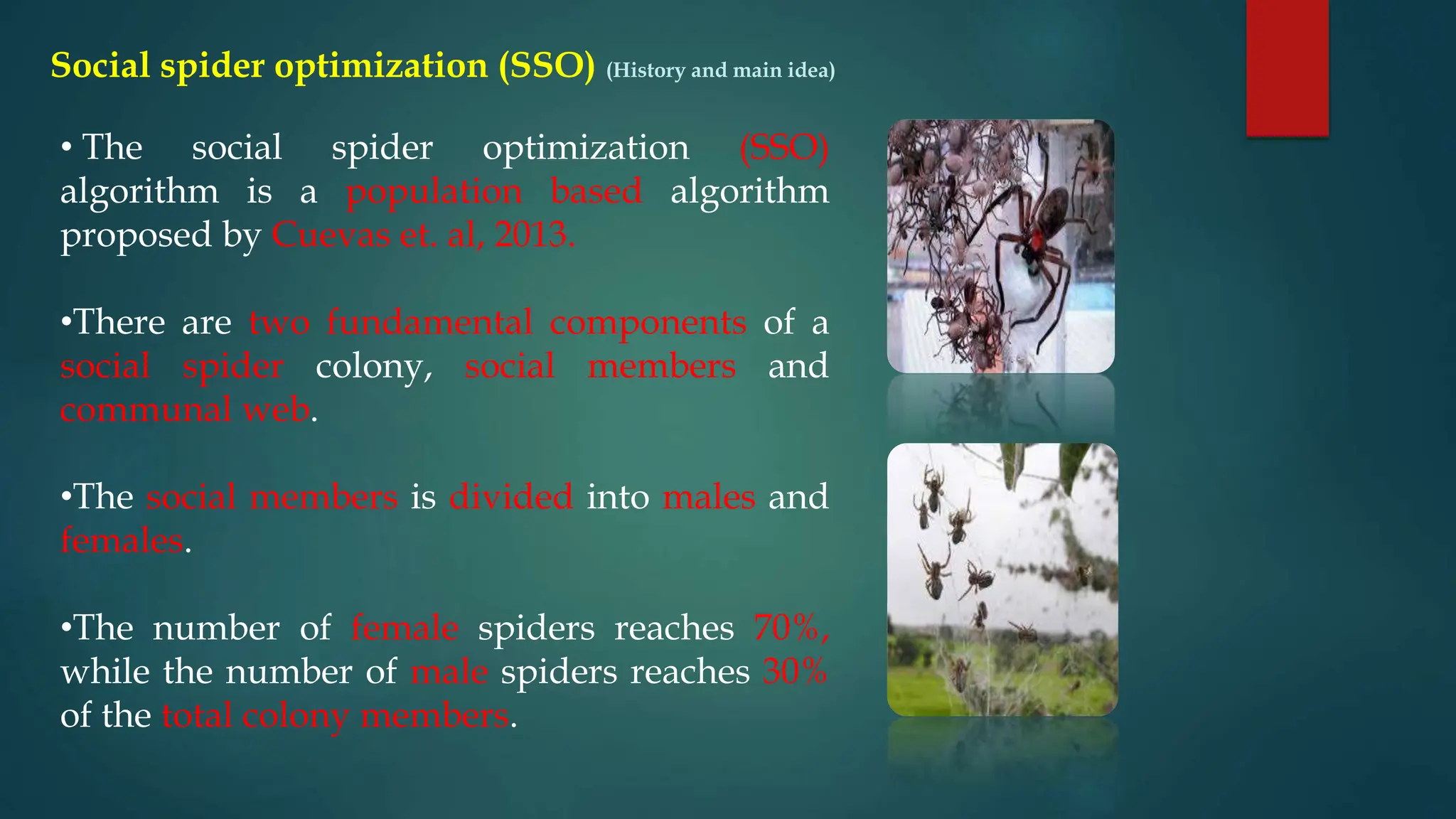 Social Spider optimization (SSO ).pptx