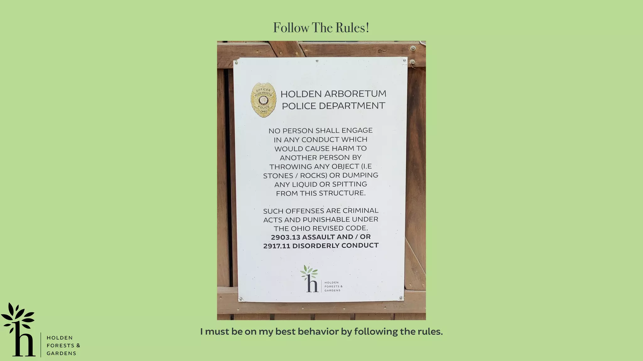Social Story Kalberer Emergent Tower | PDF