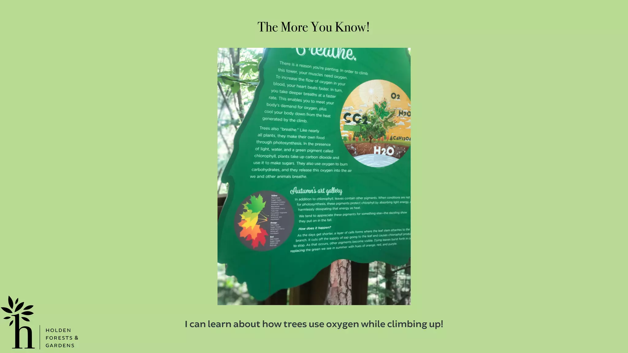 Social Story Kalberer Emergent Tower | PDF