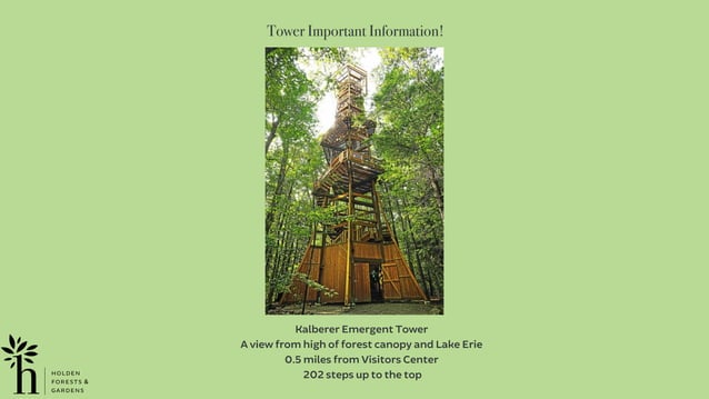 Social Story Kalberer Emergent Tower | PDF