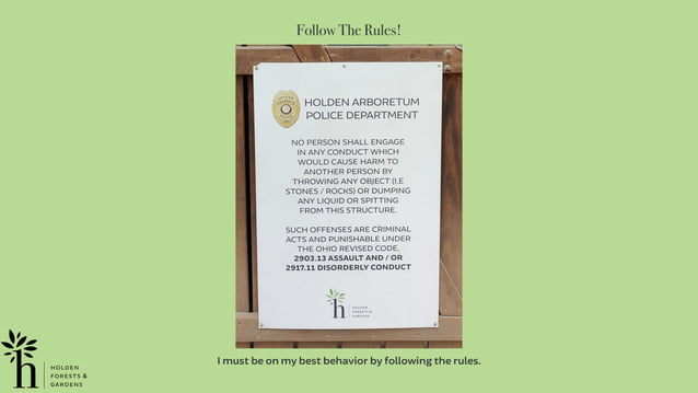 Social Story Kalberer Emergent Tower | PDF