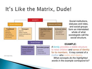 Social structure | PPTX