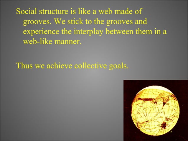 Social structure | PPT