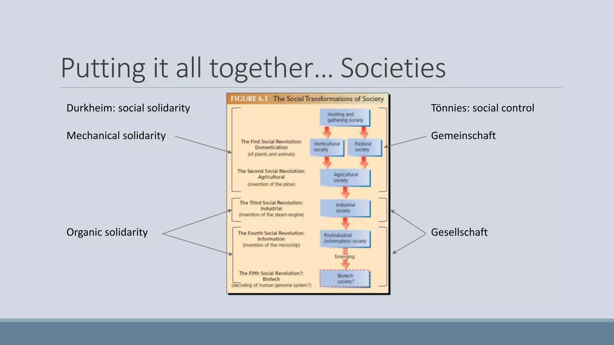 Social structure | PPT