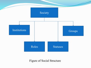 Social structure | PPTX