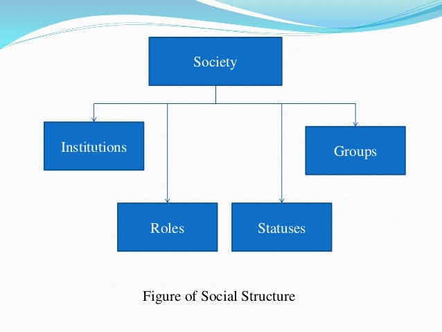 Social structure