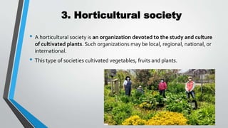 social structure.pptx