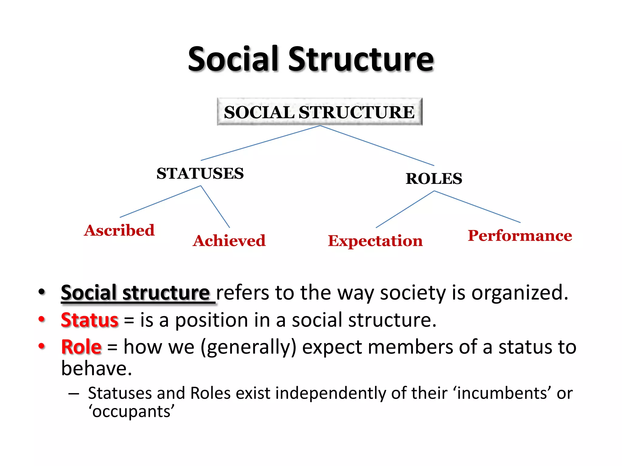 Social structure, institution, socialization (ch 8, 9, 10) | PPTX