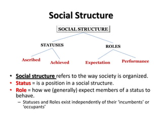 Social structure, institution, socialization (ch 8, 9, 10) | PPTX