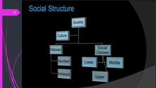 Social Structure of Pakistan | PPTX