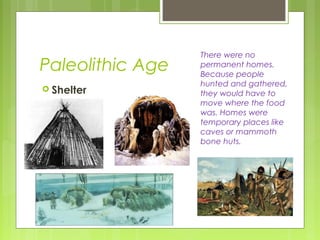 Social studies | PPT