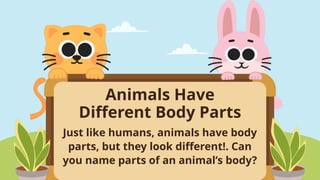 Social Studies - Parts of the Animals.pptx
