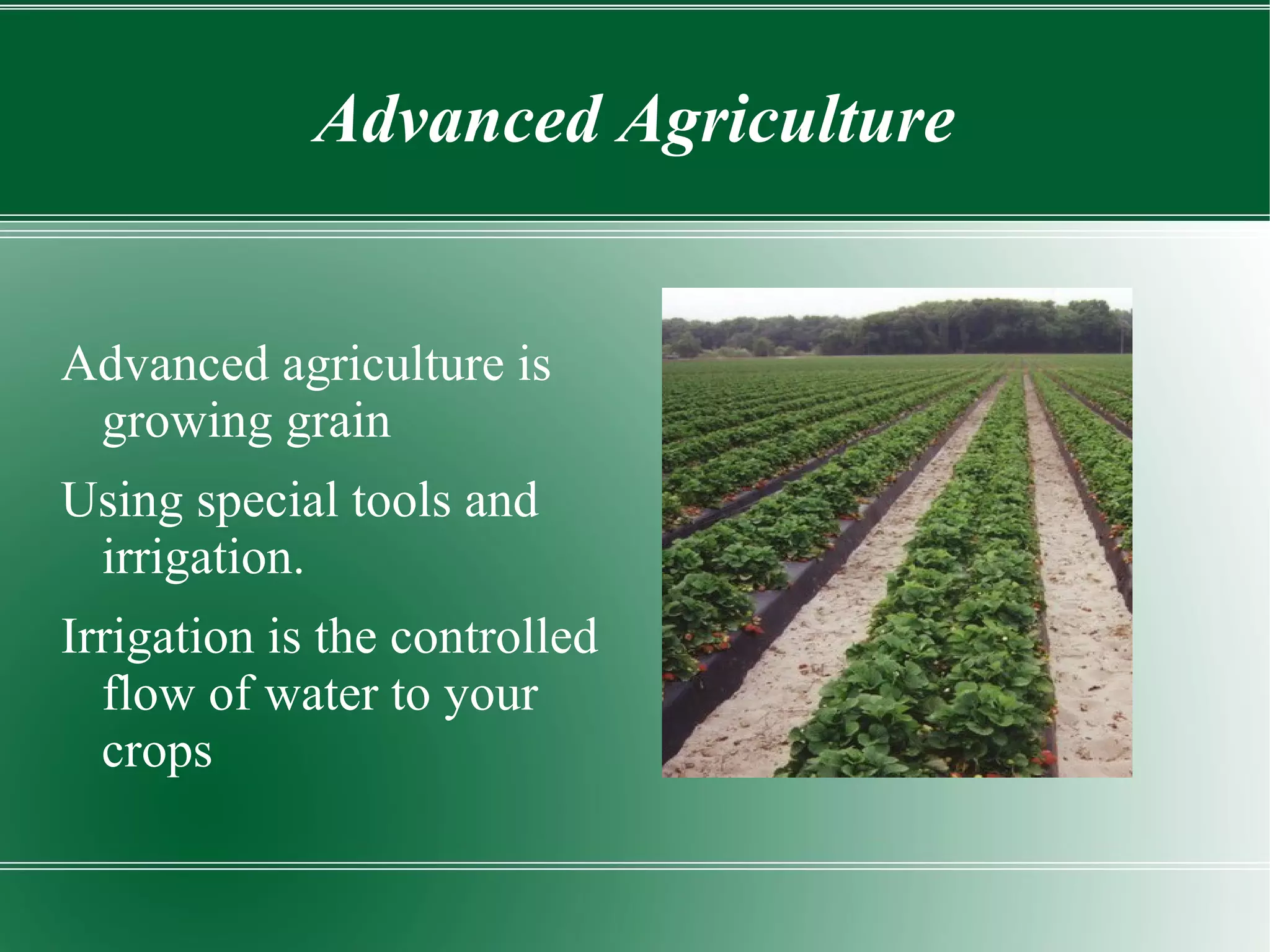 Social Studies - Elements of a Civilization | ODP