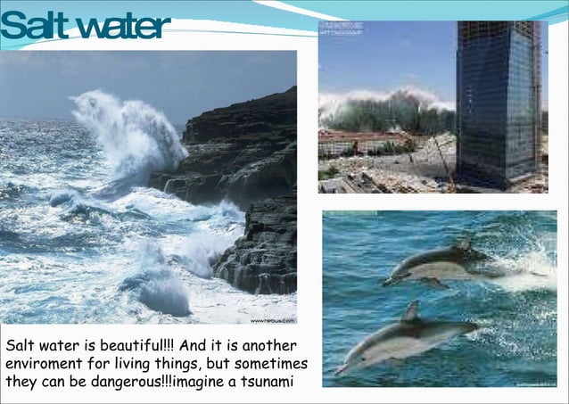 Social studies virtual booklet 5 c valentina diaz | PPT