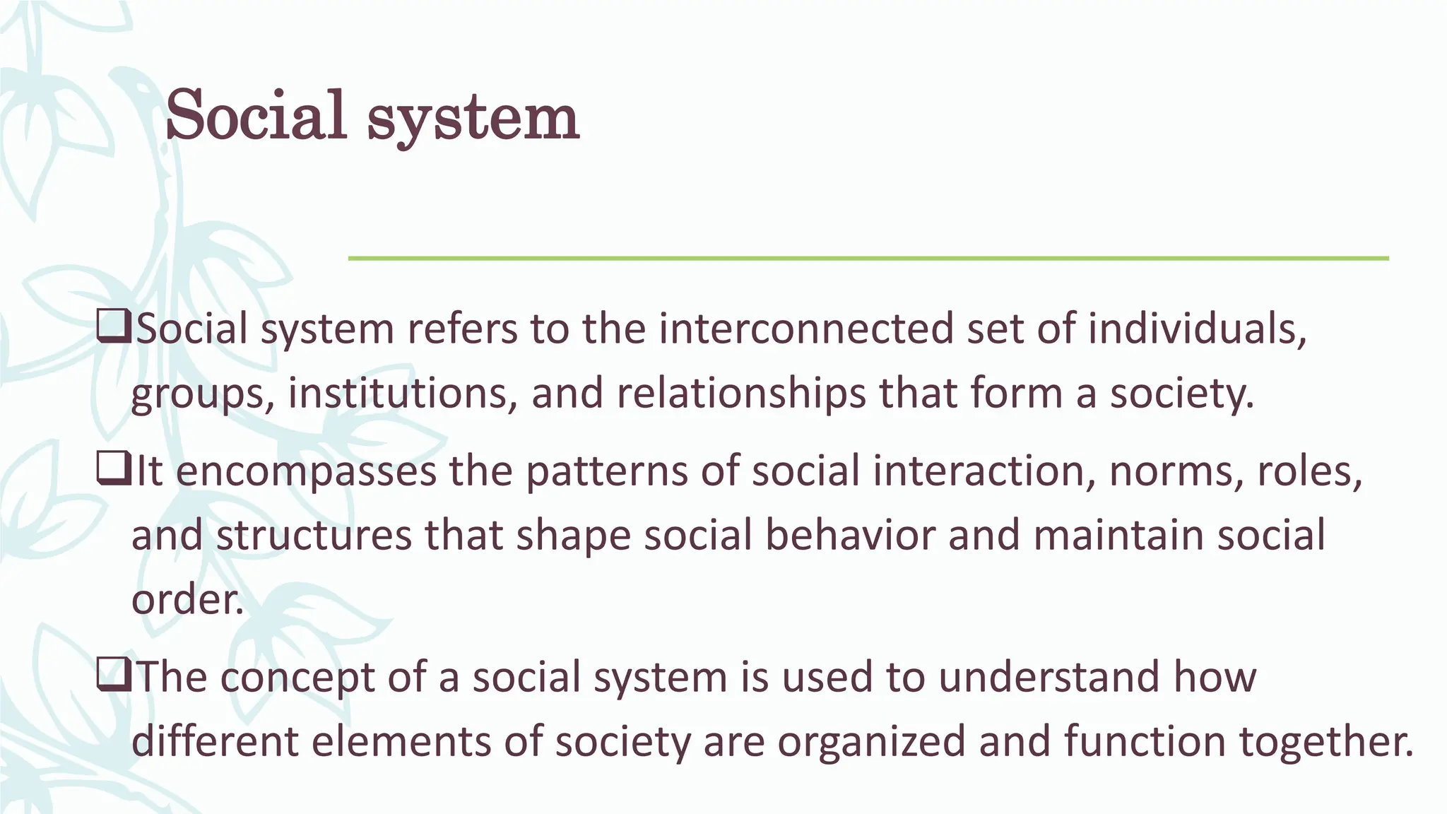 social system.pptx