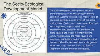 Social System Theory.pptx