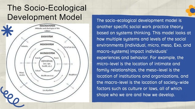 Social System Theory Pptx Science