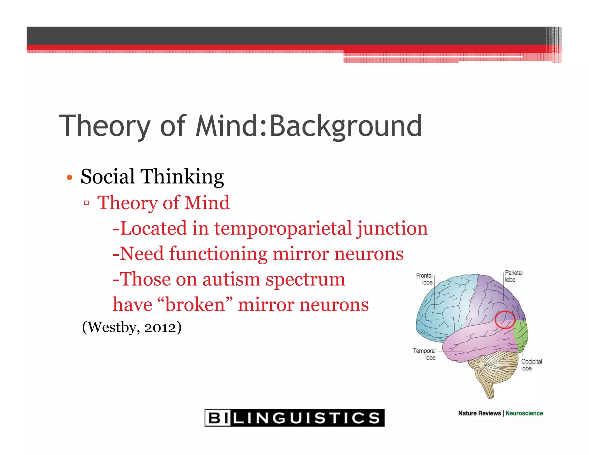 Social Thinking & Theory of Mind: Putting it all together | PDF | Brain ...