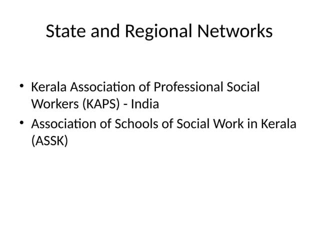 Social_Work_Organizations_Presentation.pptx