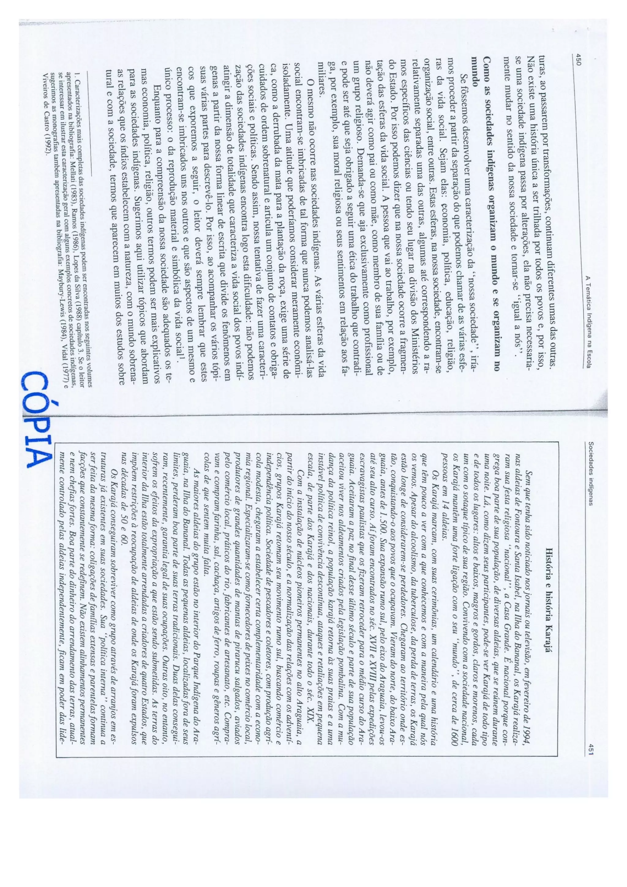 Sociedades indigenas introducao ao tema da diversidade cultural (1) | PDF