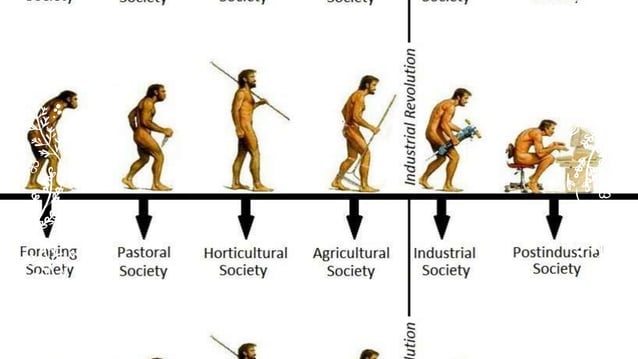 The Human Person in Society | PPTX