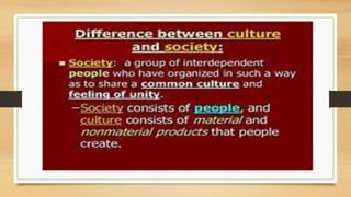 Society and culture | PPTX