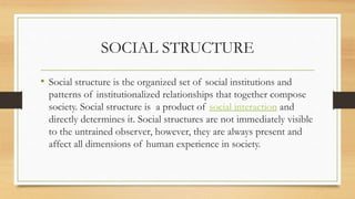 Society and culture | PPTX