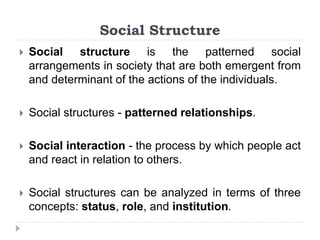 Society and human being as objects of philosophical | PPT
