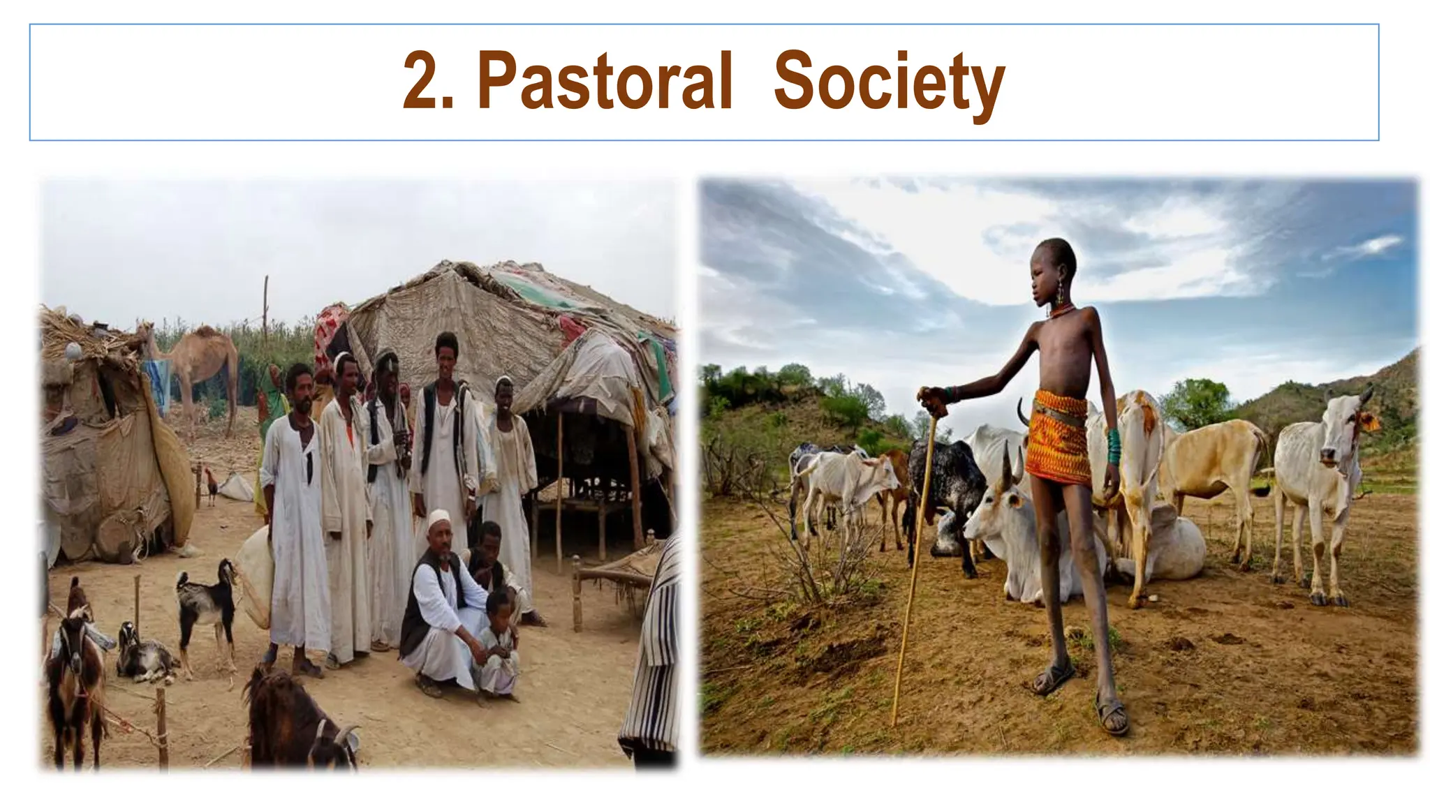 society and its types nd chracterstics.pptx