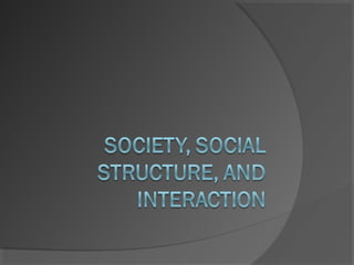 Society, social structure, and interaction | PPT