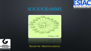 Sociogramme | PPT