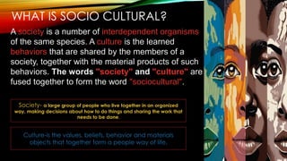 Socio-cultural-environment.pdf