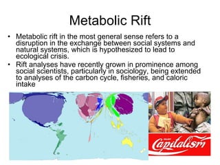 Socio-ecological systems: Moving beyond the Human Exemptionalist ...