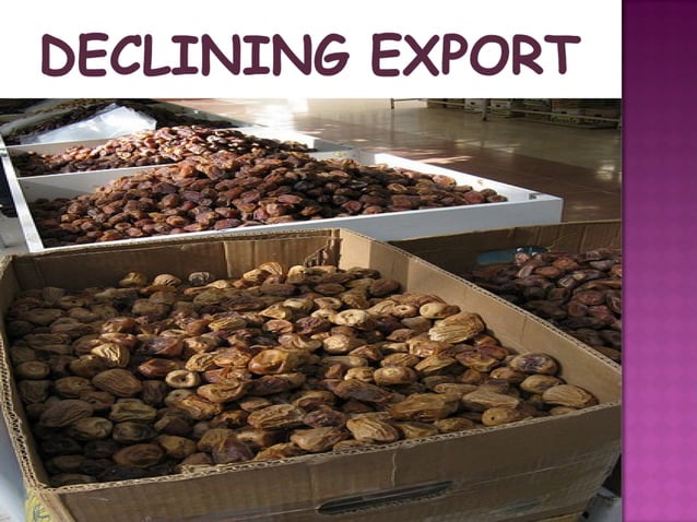 Socio economic problems presentation | PPT | Economy | Business and Finance