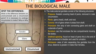 SOCIO 102 Lesson 3-5 .pptx.pdf