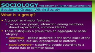 socio1Sociology GROUPS AND ORGANIZATIONS.pptx