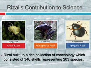 Socio5 13 la liga and exile in dapitan | PPTX