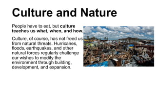 What is Culture and it's underlying implications (1).pdf