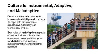 What is Culture and it's underlying implications (1).pdf